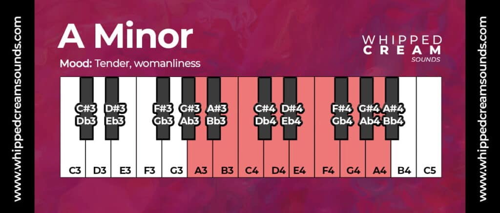 A Minor Scale, Chords in The Key of A Minor | Audible Genius